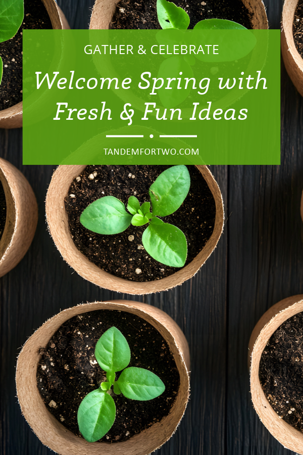 Welcome Spring with Fresh & Fun Ideas – Tandem For Two